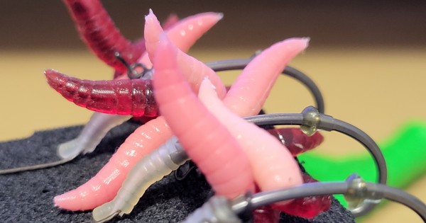 Enhanced Maggot Rig - Professionally Tied Carp Rigs